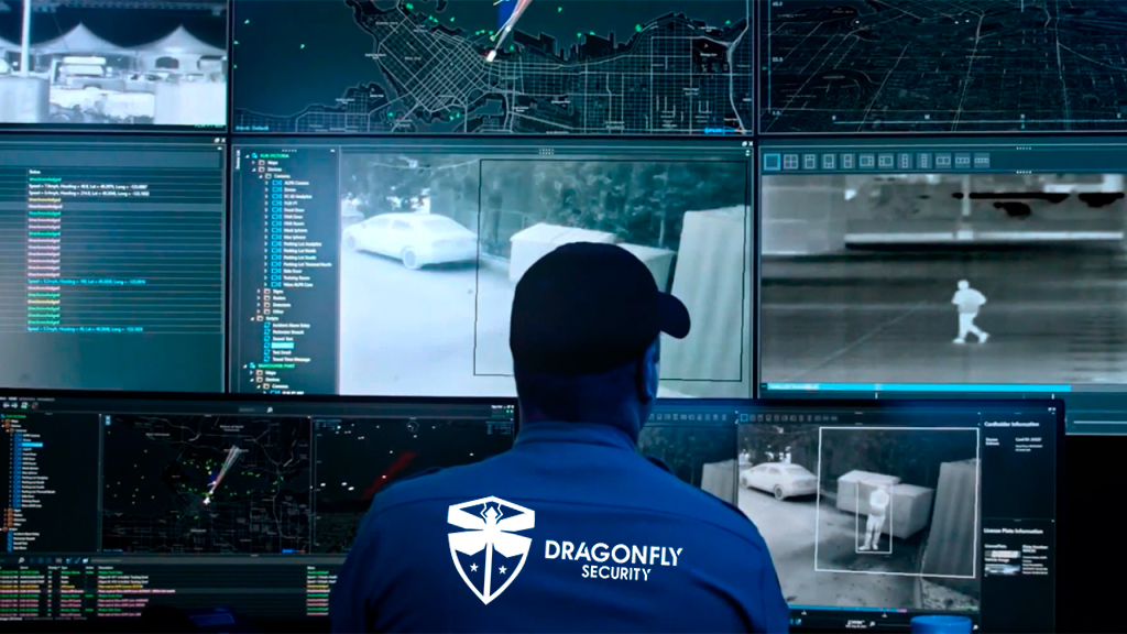 Servicios - Dragonfly Security Spa