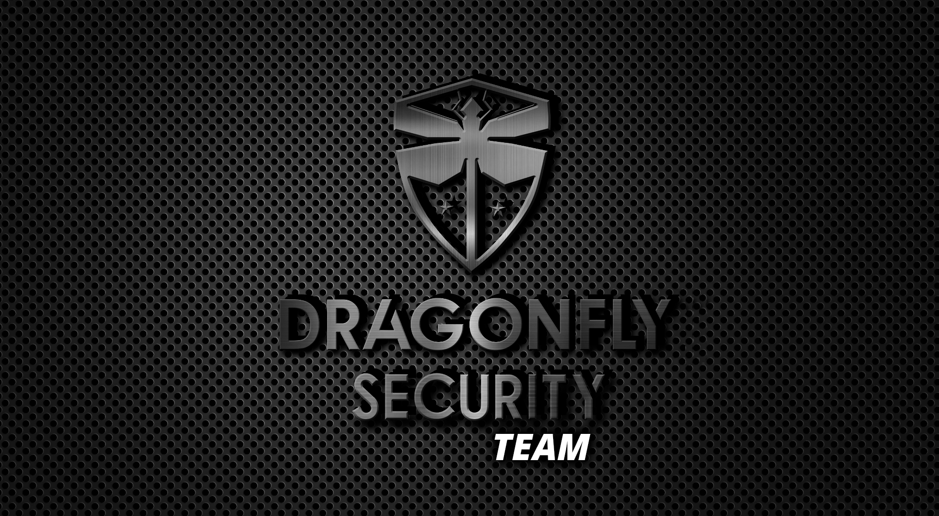 Team - Dragonfly Security Spa